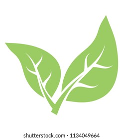 Two Common Leaves Placed Together Two Stock Vector (Royalty Free ...