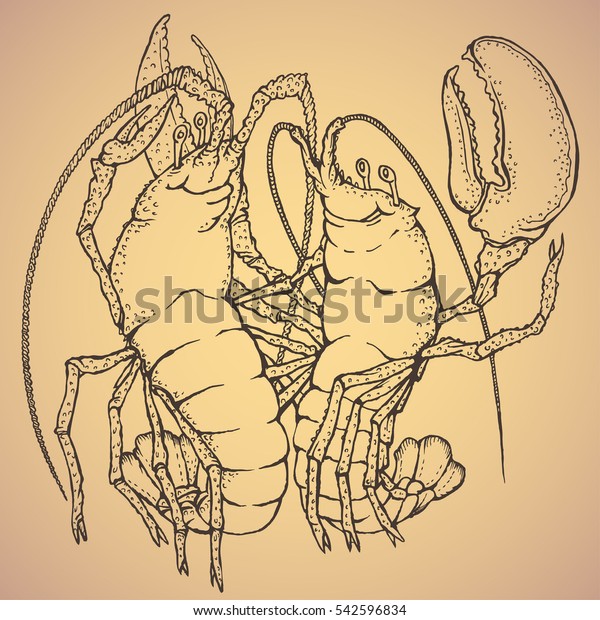 Two Funny Lobster On Beige Background Stock Vector (Royalty Free ...