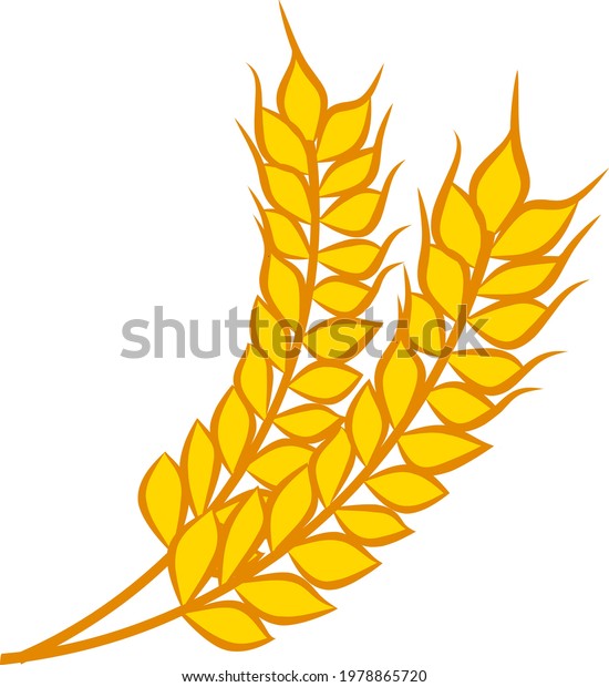 Two Golden Wheat Cartoon Vector Illustration Stock Vector (Royalty Free ...