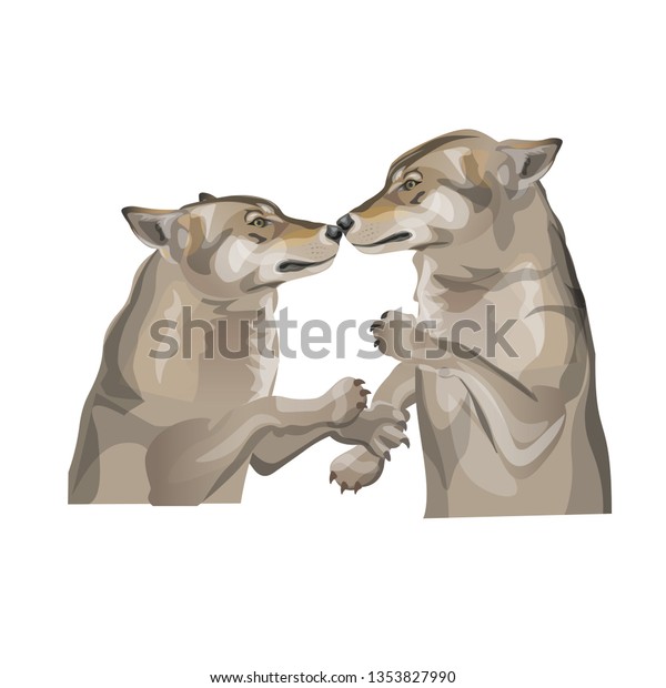Two Gray Wolves Kissing Vector Illustration Stock Vector (Royalty Free ...