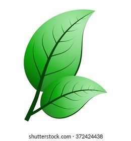 295,449 Two green leaves Images, Stock Photos & Vectors | Shutterstock