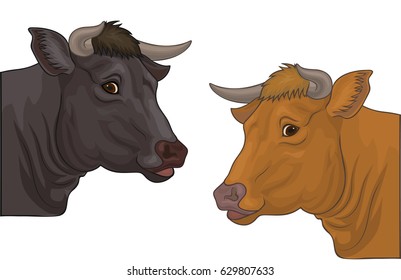 Two Heads Cows Stock Vector (Royalty Free) 629807633 | Shutterstock