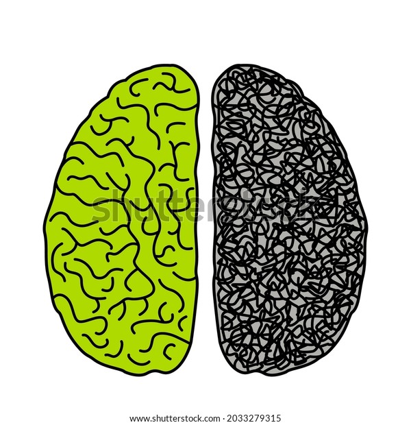 Two Hemispheres Brain Person Opposite Mental Stock Vector (Royalty Free ...