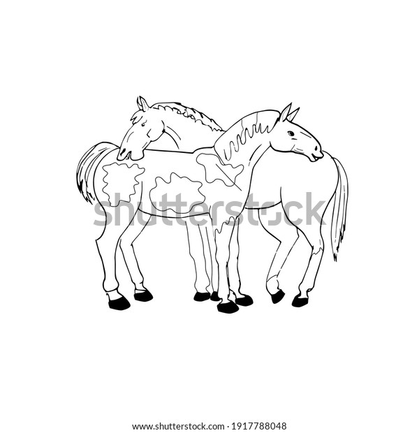 Two Horses Scratching Each Other Coloring Stock Vector (Royalty Free ...