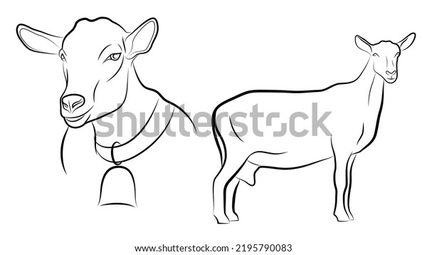 Two Linear Images Goat Stock Vector (Royalty Free) 2195790083 ...