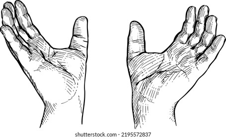 Two Open Hands Spaced Apart Sign Stock Vector (Royalty Free) 2195572837 ...
