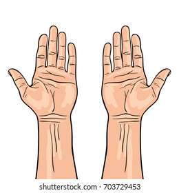 Two Palms Man Hands Isolated On Stock Vector (Royalty Free) 703729453