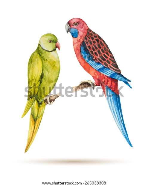 Two Parrots Sitting On Branch Watercolor Stock Vector (Royalty Free ...