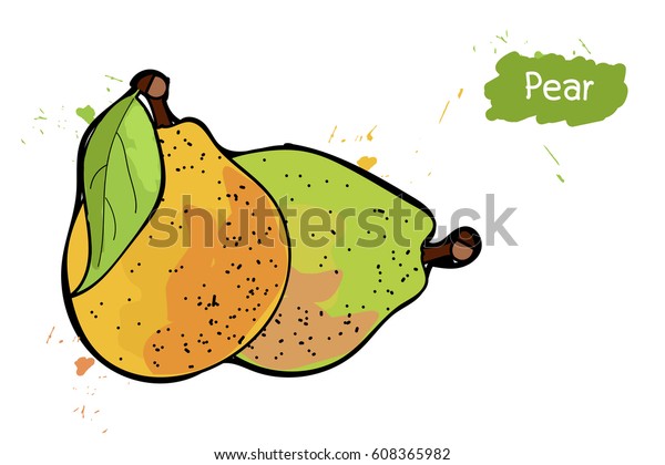 Two Pears Leaves On White Background Stock Vector (Royalty Free) 608365982