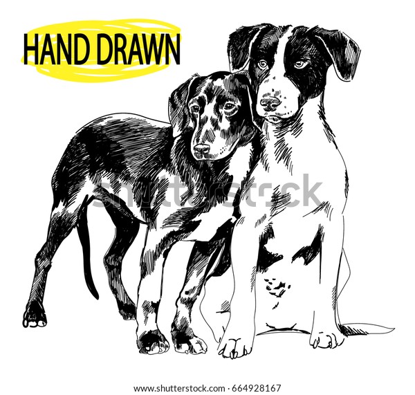 Two Puppies Drawing By Hand Vintage Stock Vector (Royalty Free ...
