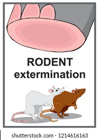 Two Rats Cartoon Character Leg Elephant Stock Vector (Royalty Free ...