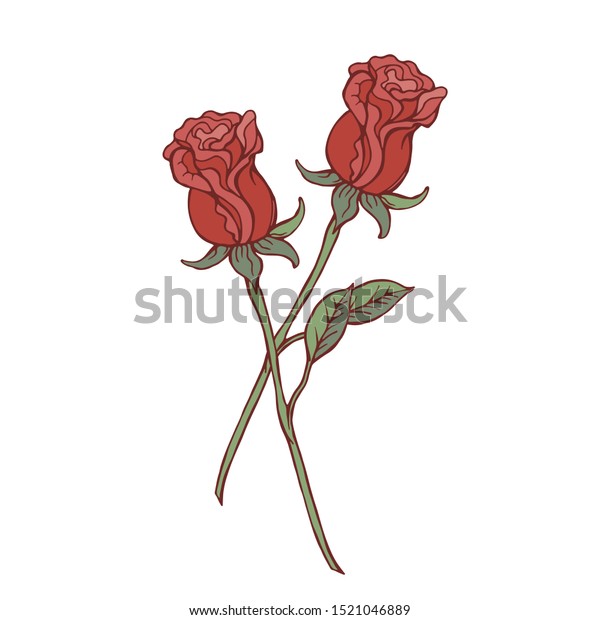 Two Red Roses Isolated On White Stock Vector (Royalty Free) 1521046889 ...