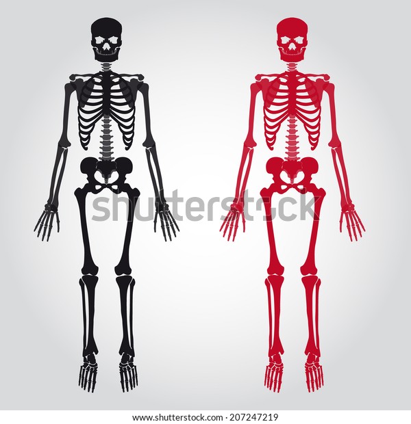 Two Scary Red Black Skeletons Created Stock Vector (Royalty Free ...