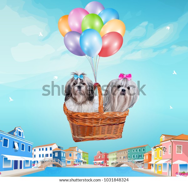 Two Shih Tzu Dogs Flying Over Stock Vector (Royalty Free) 1031848324 ...
