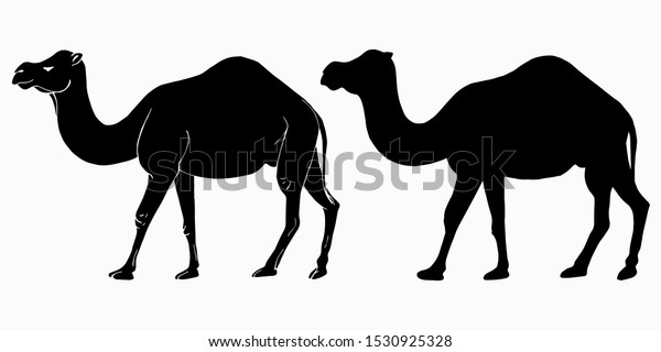 Two Silhouettes Beautiful Strong Camel Profile Stock Vector (Royalty ...