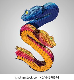Two Headed Snake Images, Stock Photos & Vectors | Shutterstock