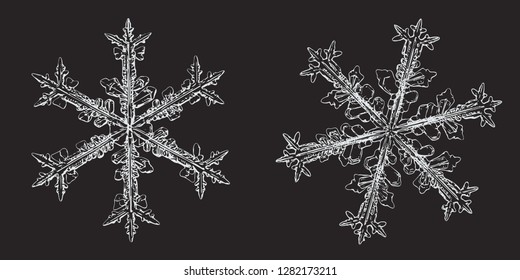 Two Snowflakes Isolated On White Background Stock Vector (Royalty Free ...