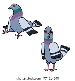 Two Stupid Pigeon On Transparent Background: เวกเตอร์สต็อก (ปลอดค่า ...