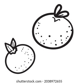 Two Tangerines Oranges Coloring Illustration Stock Vector (Royalty Free ...