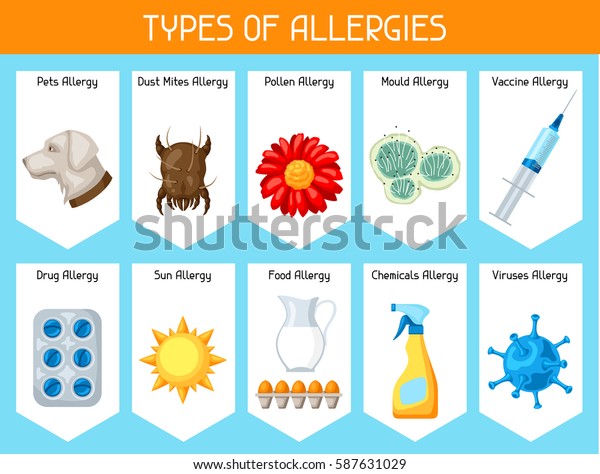Types Allergies Background Allergens Symbols Vector Stock Vector ...