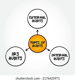 Types Audits Important Part Customersupplier Partnership Stock Vector ...