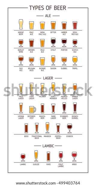 Types Beer Various Types Beer Recommended Stock Vector (Royalty Free ...