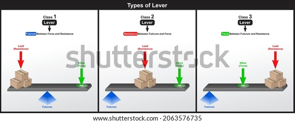 Types Lever Educational Diagram Including Three Stock Vector (Royalty ...
