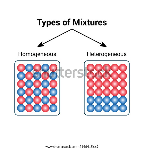 Types Mixture Homogeneous Heterogeneous Diagram Stok Vektör (Telifsiz ...