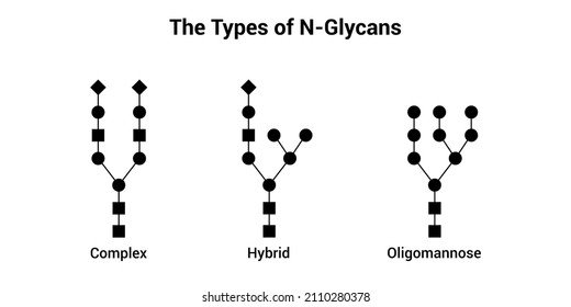 70 Chemistry Diagram On Hybridization Images, Stock Photos & Vectors ...