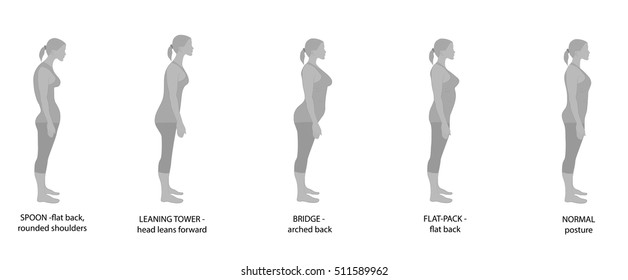 Types Posture Women Vector Illustration Stock Vector (Royalty Free ...