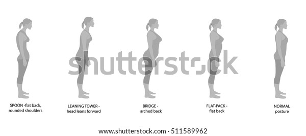 Types Posture Women Vector Illustration Stock Vector (Royalty Free ...
