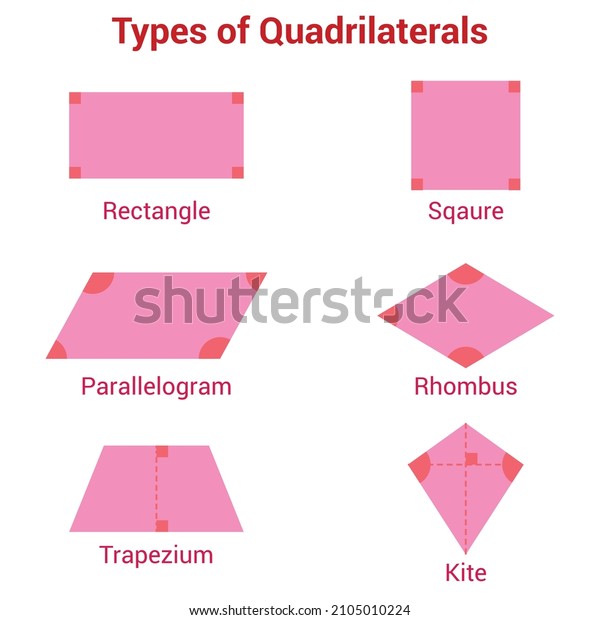Types Quadrilaterals Shapes Mathematics Rectangle Square Stock Vector ...