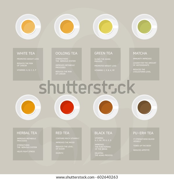 Types Tea Green White Red Matcha Stock Vector (Royalty Free) 602640263