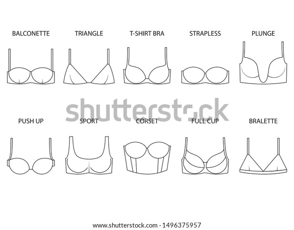Types of women's bra isolated on white background. Set of brassieres ...