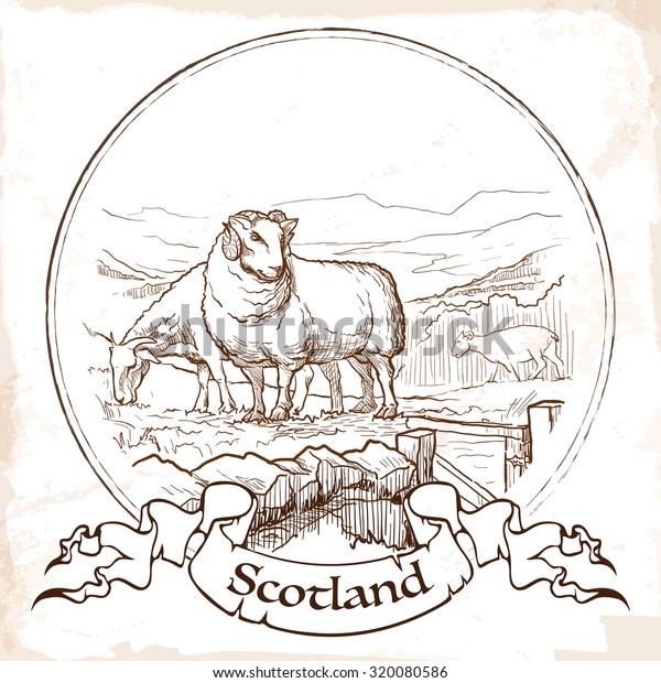 Typical Landscape Sheep Scottish Highlands Sketch Stock Vector (Royalty ...