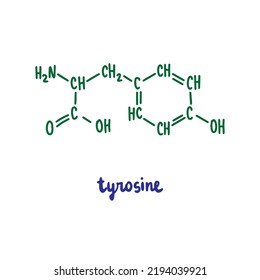 Tyrosin Hand Drawn Vector Formula Chemical Stock Vector (Royalty Free ...