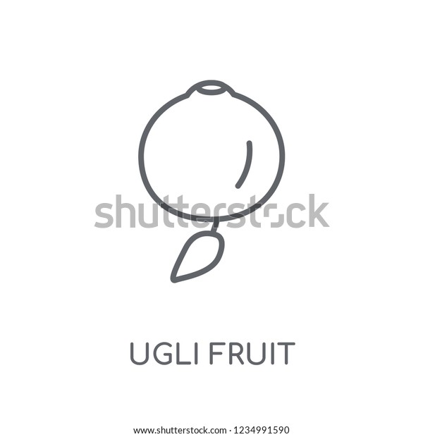 Ugli Fruit Linear Icon Modern Outline Stock Vector (Royalty Free ...
