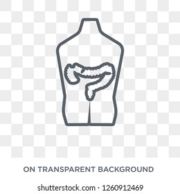 Ulcerative Colitis Icon Trendy Flat Vector: vector de stock (libre de ...