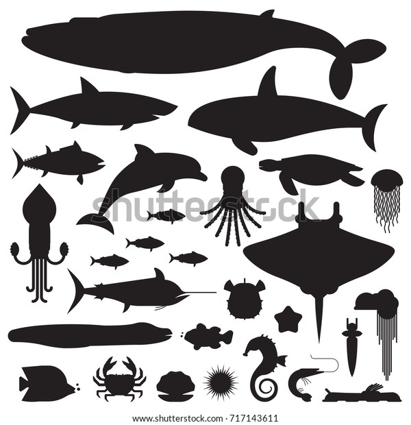 Underwater animals and sea creatures logo or label templates. Ocean and ...