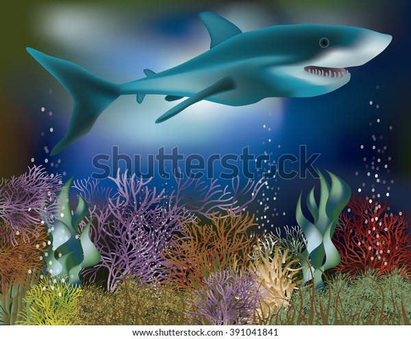 Underwater Wallpaper Shark Vector Illustration Stock Vector (Royalty ...