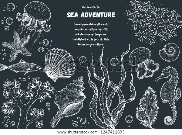 Underwater World Hand Drawn Collection Sketch Stock Vector (Royalty ...