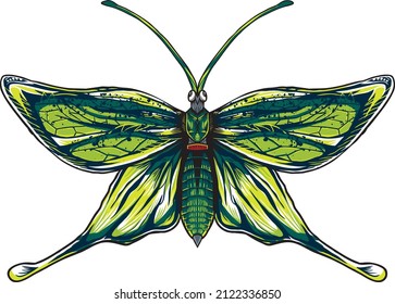 Unique Butterfly Wing Pattern Illustration Stock Vector (Royalty Free ...