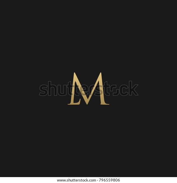 Unique Creative Luxury Style Initial Based Stock Vector (Royalty Free ...