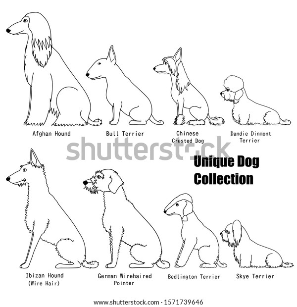 Unique Dog Breed Side View Set Stock Vector (Royalty Free) 1571739646 ...