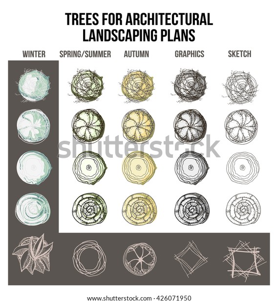 Unique Hand Drawn Trees Architectural Landscaping 스톡 벡터(로열티 프리 ...