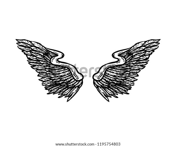 Unique Wings Bird Hand Drawn Symbol Stock Vector (Royalty Free ...