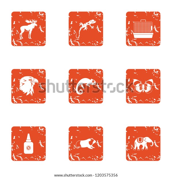 Untamed Icons Set Grunge Set 9 Stock Vector (Royalty Free) 1203575356