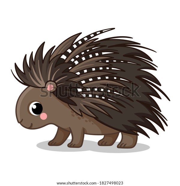 Upine Stands On White Background Vector Stock Vector (Royalty Free ...