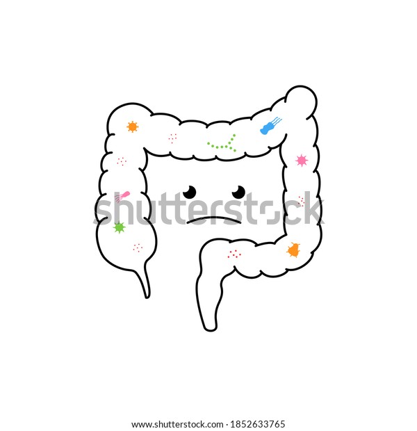 Upset Intestines Bacteria Large Bowel Rectum Stock Vector (Royalty Free ...