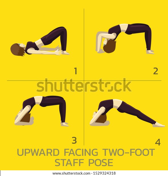 Upward Facing Twofoot Staff Pose Yoga Stock Vector (Royalty Free ...